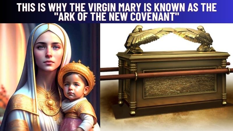 THIS IS WHY THE VIRGIN MARY IS KNOWN AS THE "ARK OF THE NEW COVENANT"