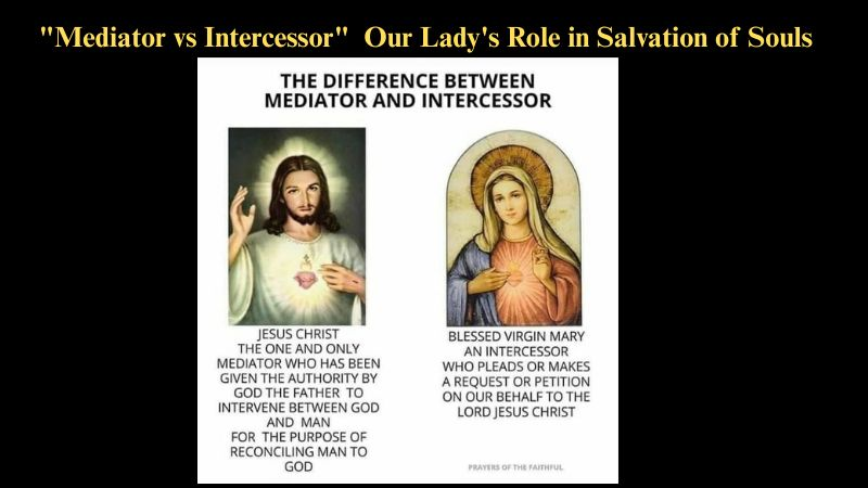 "Mediator vs Intercessor" Our Lady's Role in the Salvation of Souls
